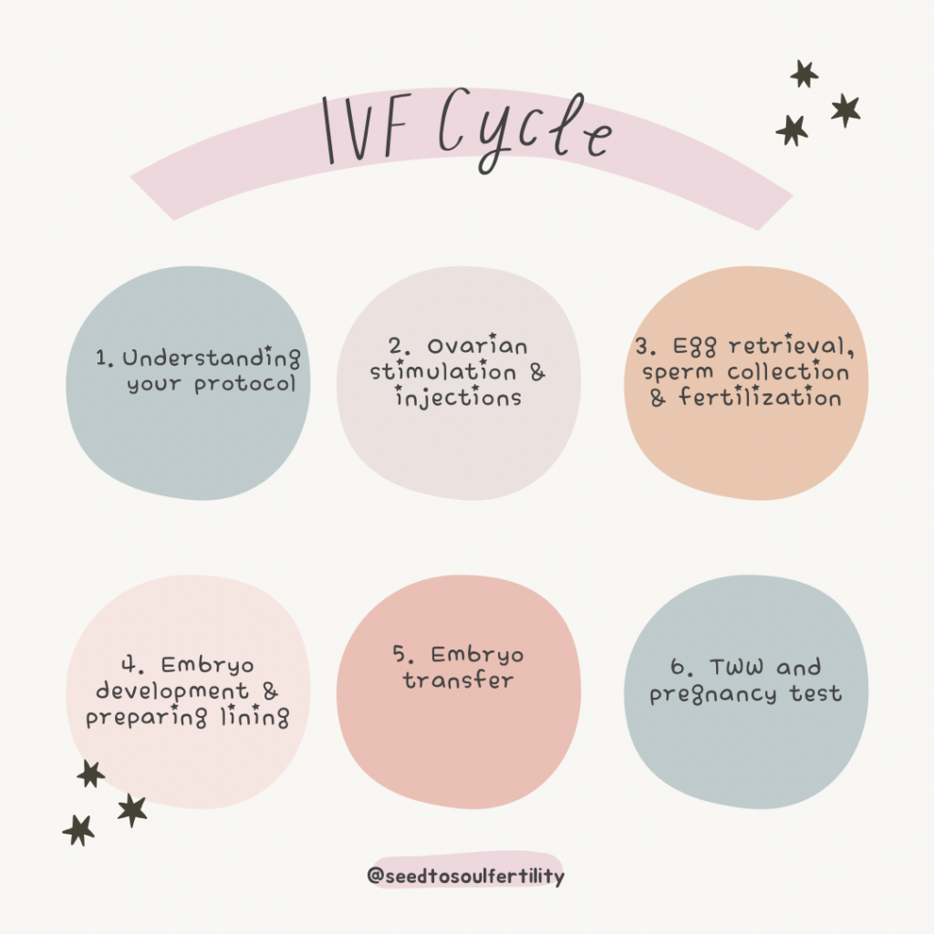 What is IVF? | seedtosoulfertility.com